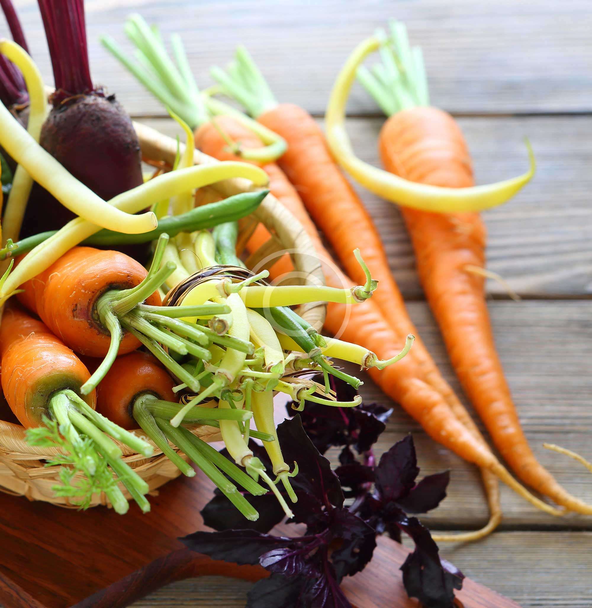 Blog Classic - Page 2 of 4 - South Florida's #1 Organic Produce Home ...